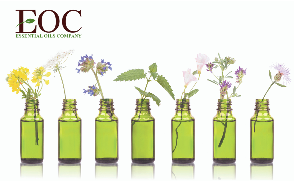 Top 10 Essential Oils – Essential Oils Company Top 10 Essential Oils – Essential Oils Company