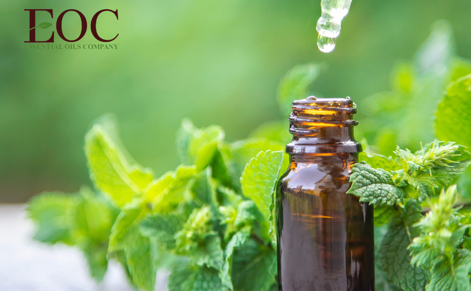 The Natural Purpose of Essential Oils – Essential Oils Company