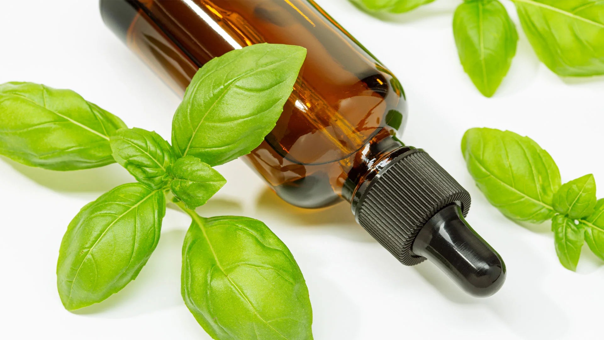Top 10 Essential Oils for Inflammation – Essential Oils Company