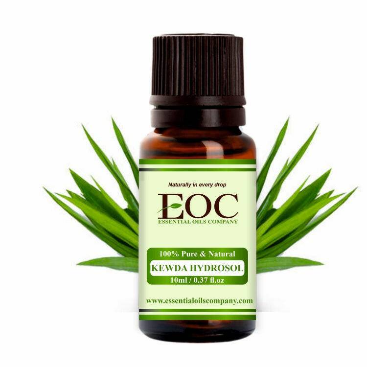 Kewda Hydrosol – Essential Oils Company