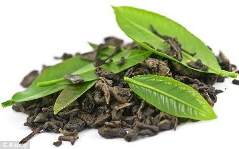Green Tea Absolute Uses and Benefits, Green Tea Oil Wholesale ...