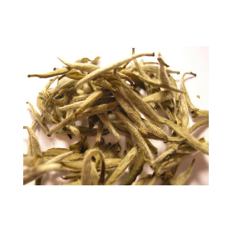 White Tea Absolute Uses and Benefits, White Tea Oil Wholesale ...